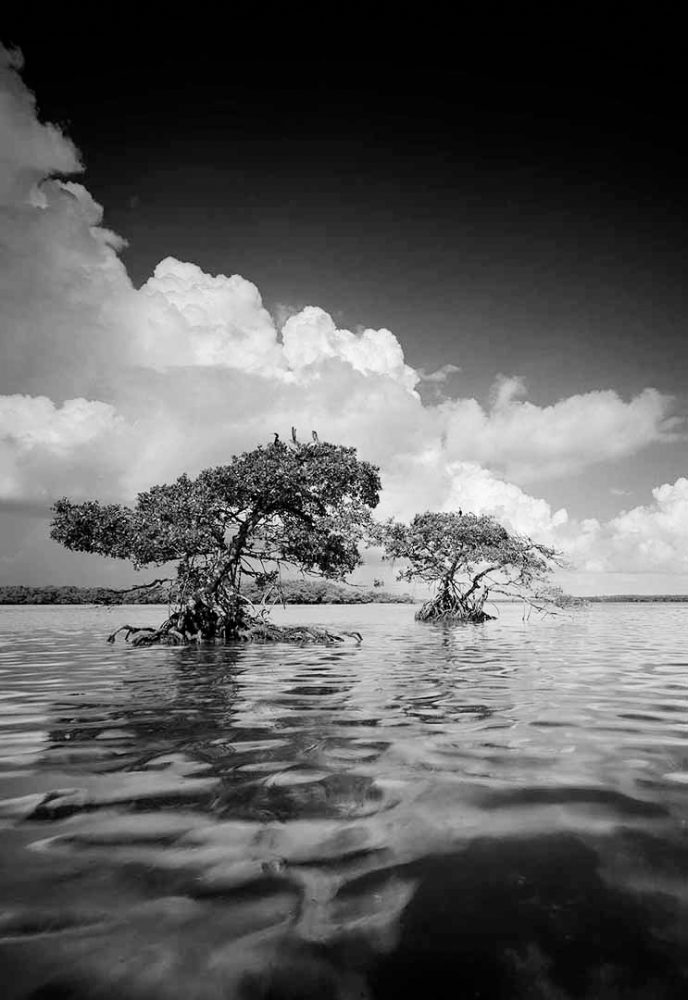 GASKIN BAY 7 © 1998 – Clyde Butcher | Black & White Fine Art Photography