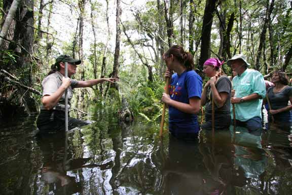 Eco Swamp Walk Ranger – Clyde Butcher | Black & White Fine Art Photography